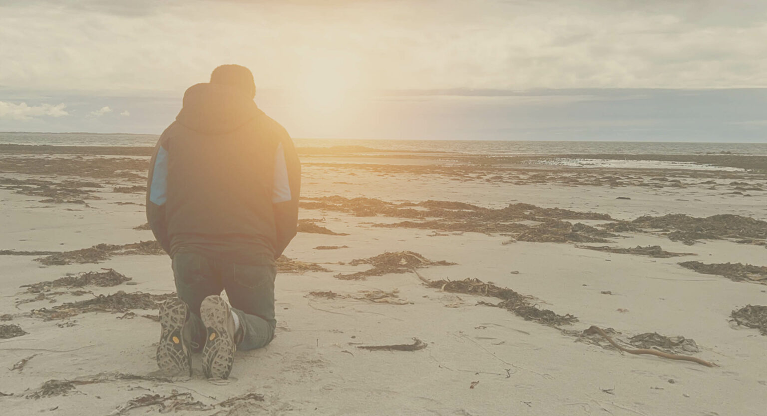 THE PROMISED LAND - The University Of God